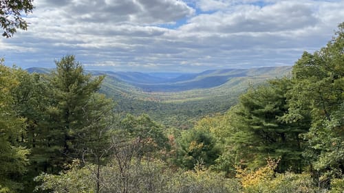 Best Hikes and Trails in Snyder-Middleswarth Natural Area | AllTrails