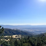 Figueroa Mountain, California - 266 Reviews, Map | AllTrails