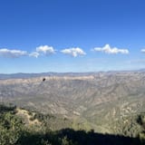 Figueroa Mountain, California - 266 Reviews, Map | AllTrails
