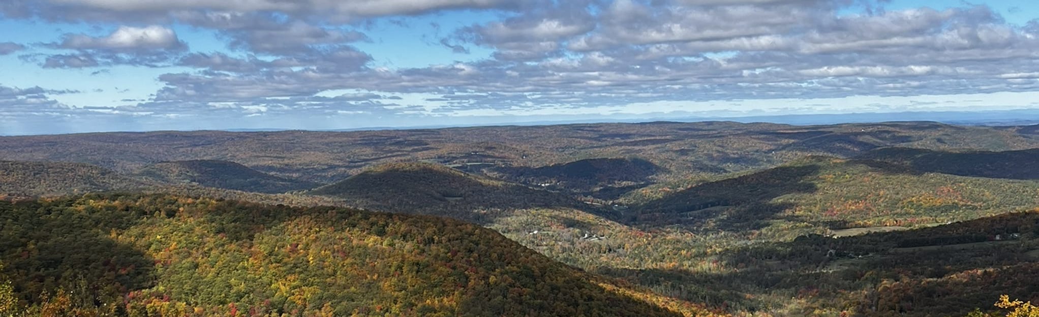 Taconic Crest Trail: NY 346 to US 20: 858 Fotos - New York | AllTrails