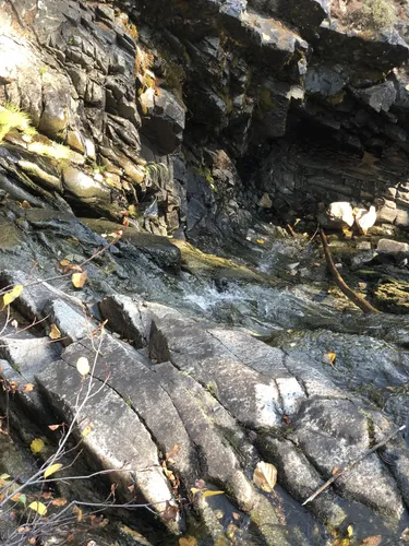 Best Hikes and Trails in Conkle Lake Provincial Park | AllTrails