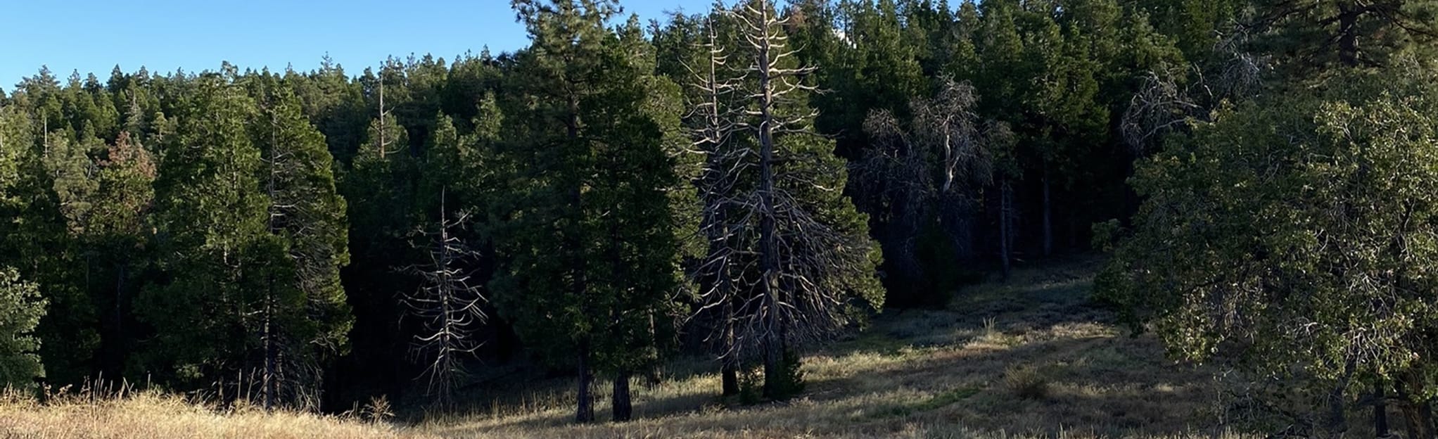 Red-Tailed Roost and Agua Dulce Trail Loop: 981 Reviews, Map ...