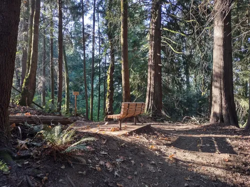 10 Best Trails and Hikes in Maple Valley | AllTrails