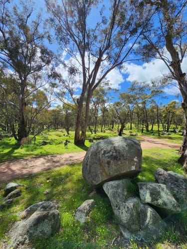 Best Hikes and Trails in Graytown | AllTrails