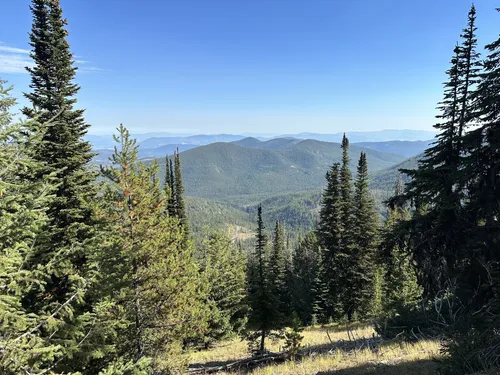 10 Best Hikes and Trails in Colville National Forest | AllTrails