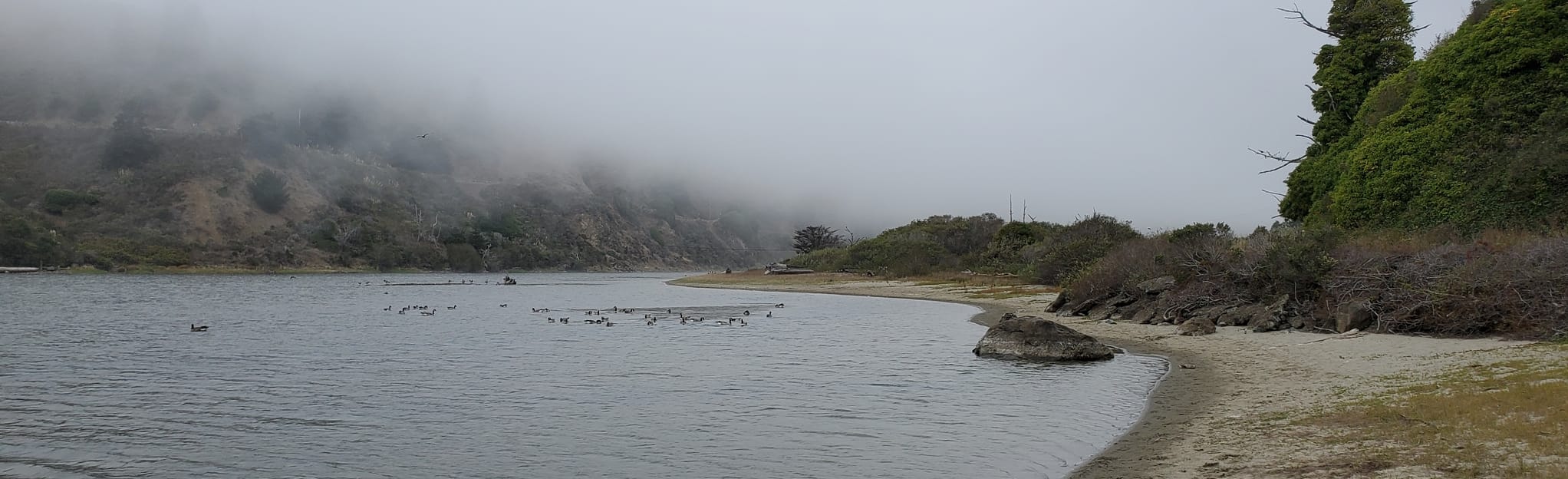 Navarro Beach Campground Road Bike - California | AllTrails
