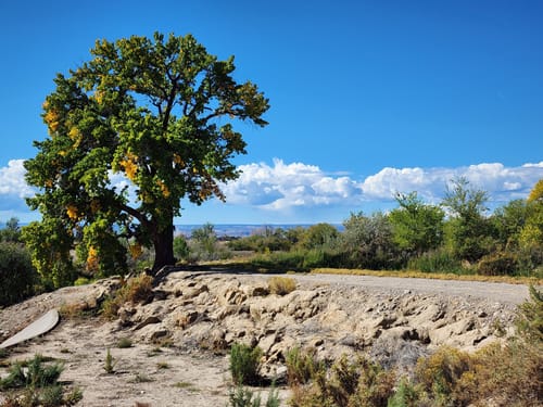 Best Hikes and Trails in Sweitzer Lake State Park | AllTrails