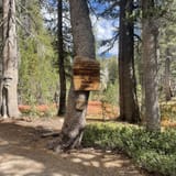 Dinkey Lakes Trail, California - 334 Reviews, Map | AllTrails