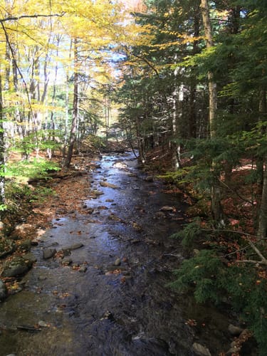 Best Hikes and Trails in Chase Brook Town Forest. | AllTrails