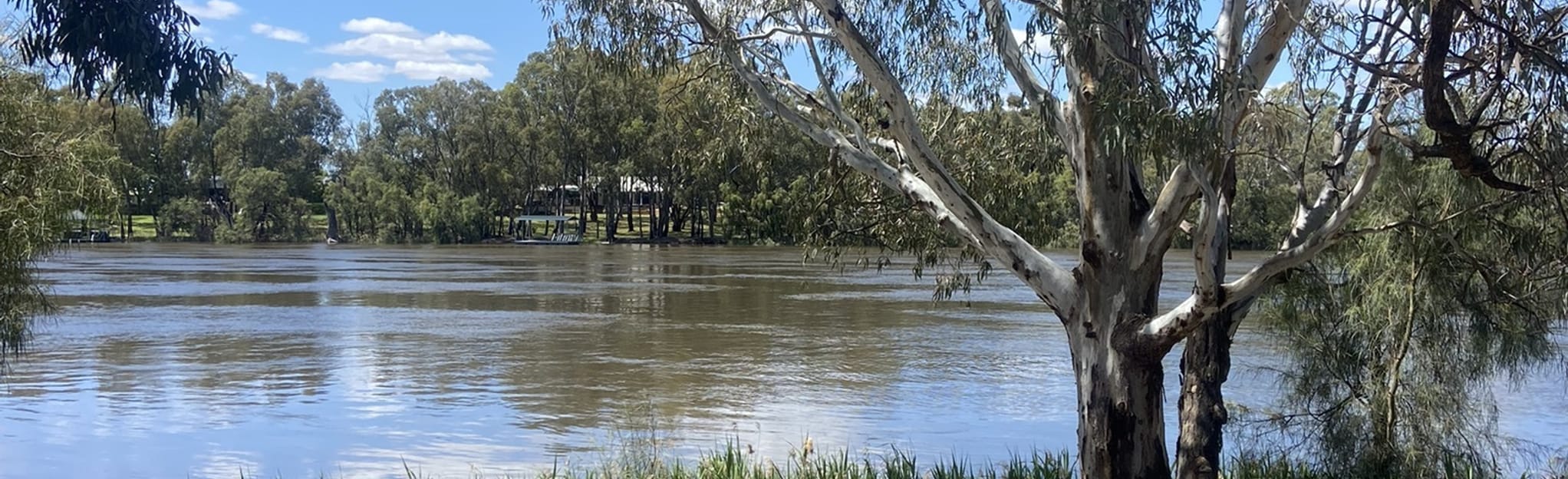 Merbein Murray River Walk: 3 foto's - Victoria, Australië | AllTrails