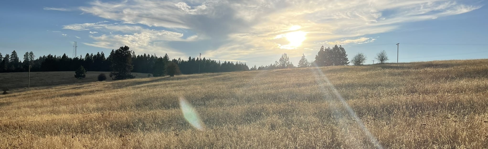 Dead Man’s Pass Trail, Oregon - 29 Reviews, Map | AllTrails