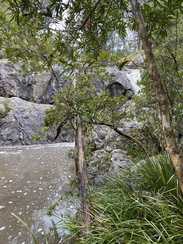 Best Hikes and Trails in Orbost | AllTrails