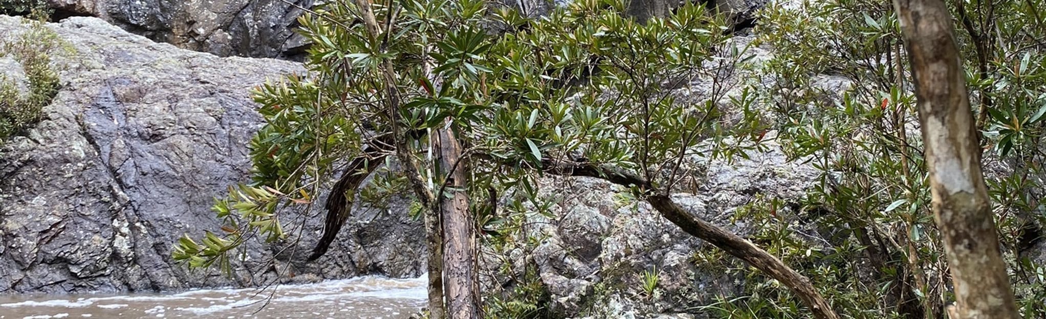 Young’s Creek Waterfall Walking Track, Victoria, Australia - 7 Reviews ...