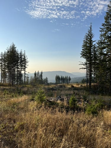 2023 Best Waterfall Trails in Yacolt Burn State Forest | AllTrails