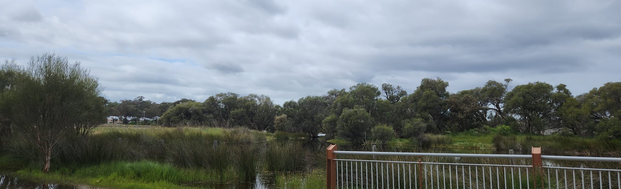 Black Swan Swamp Loop: 15 Reviews, Map - Western Australia, Australia ...