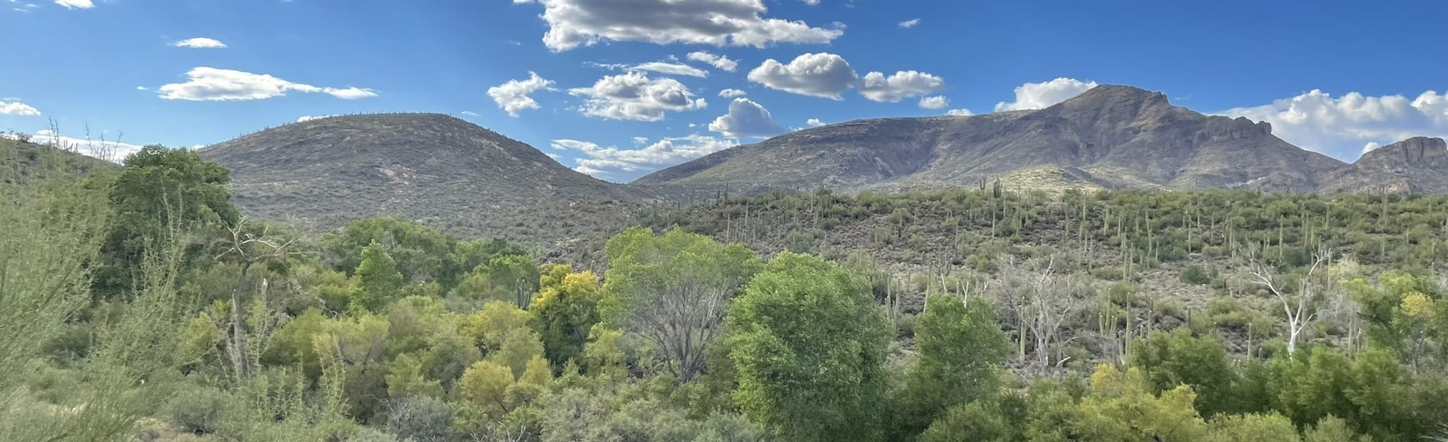 Spur Cross, Metate, and Dragonfly Loop, Arizona - 1,282 Reviews, Map ...