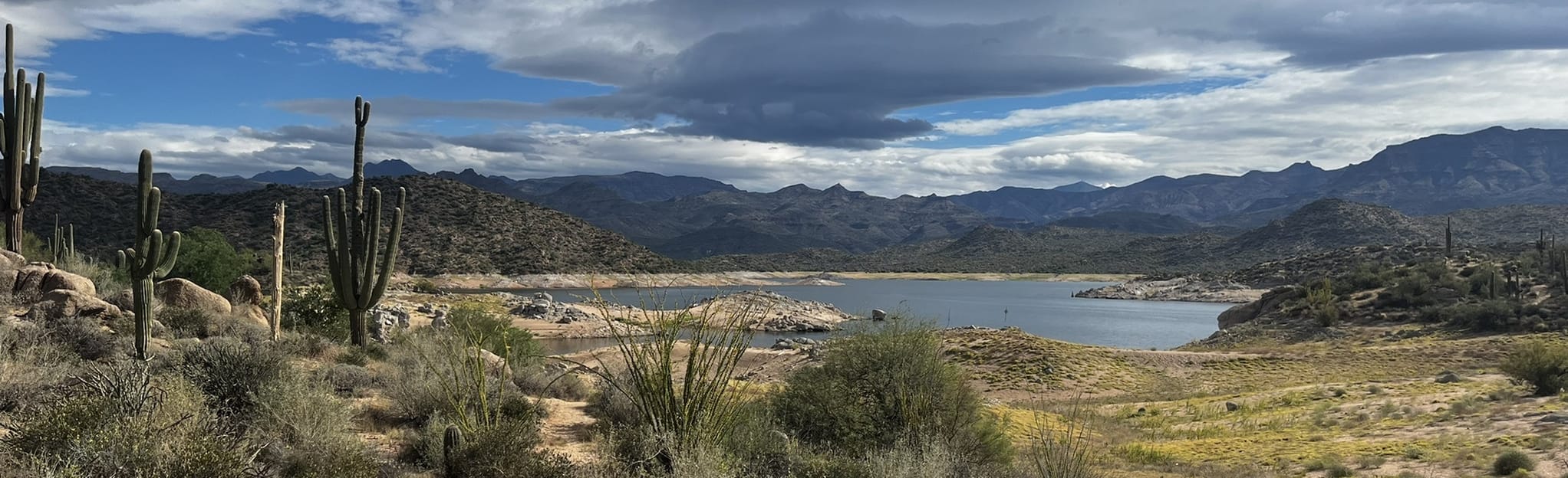 Jojoba Trail at Bartlett Lake: 57 Reviews, Map - Arizona | AllTrails