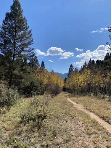 10 Best Trails and Hikes in Buffalo Creek | AllTrails