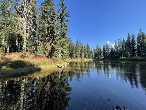 Best 10 Hikes and Trails in Indian Heaven Wilderness | AllTrails