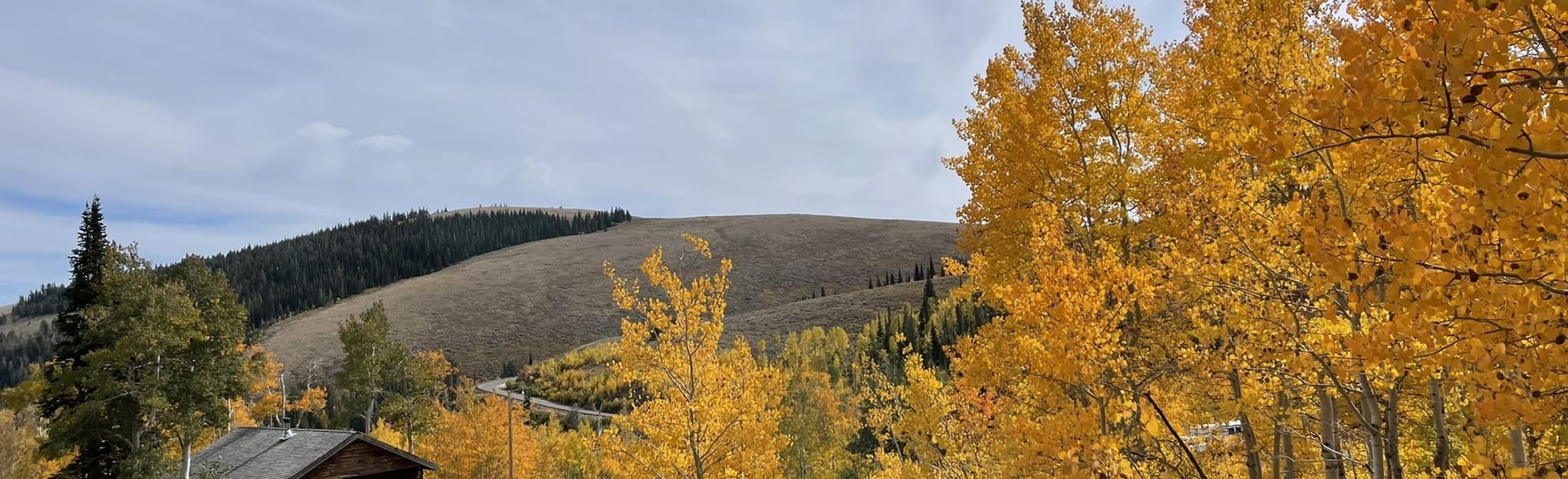 Thompson Flats Trail: 35 fotos - Idaho | AllTrails
