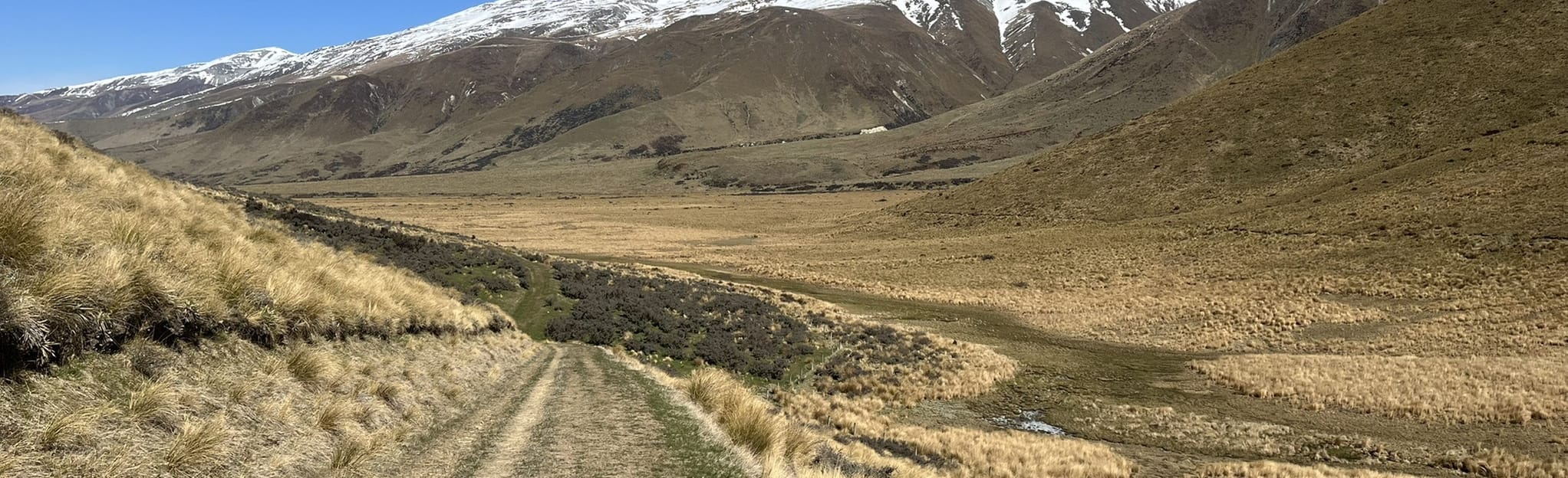 Spurs Hut via North Opuha Track: 15 Reviews, Map - Canterbury, New ...