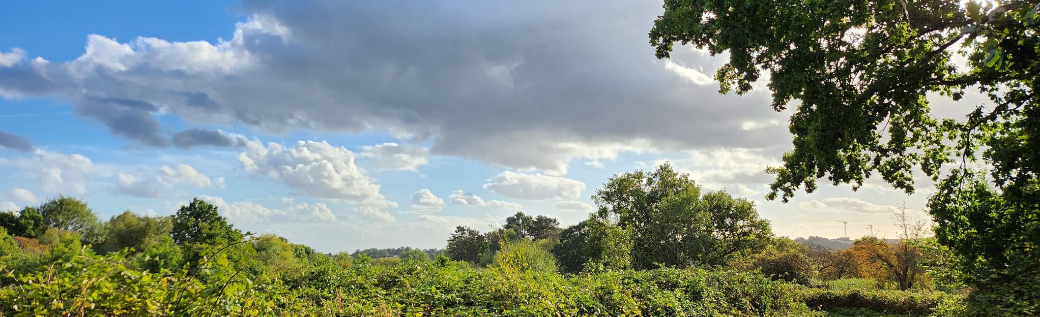 Folly Brook and Darland's Lake Nature Reserve, London, England - 30 ...