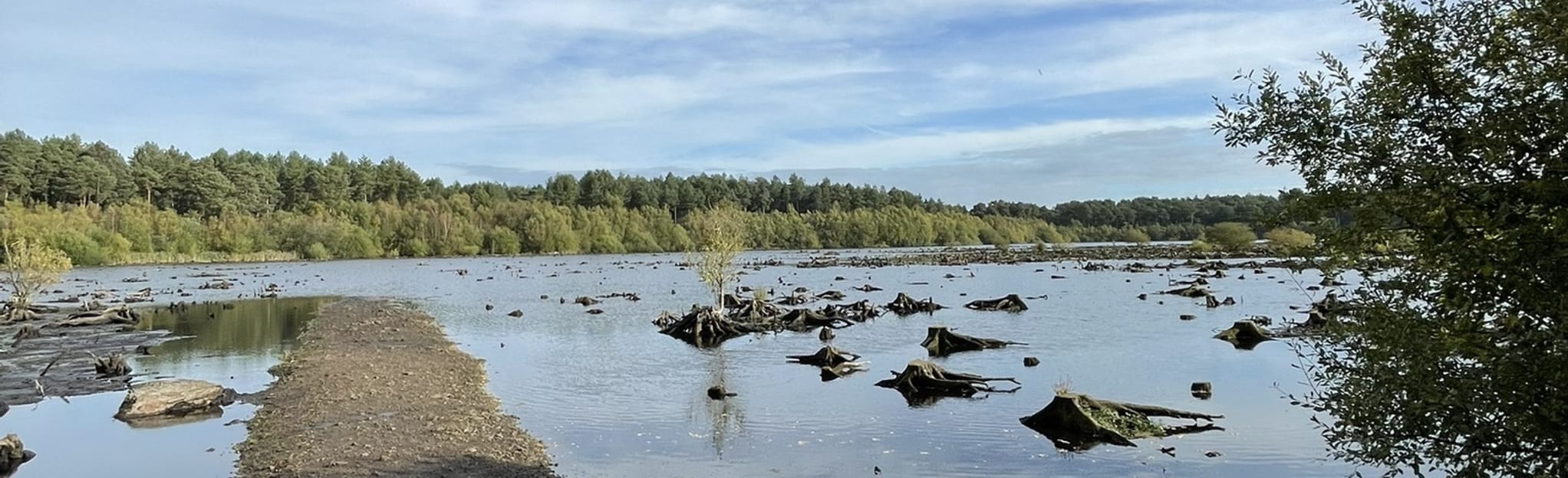 Blakemere Trail: 68 Reviews, Map - Cheshire, England | AllTrails