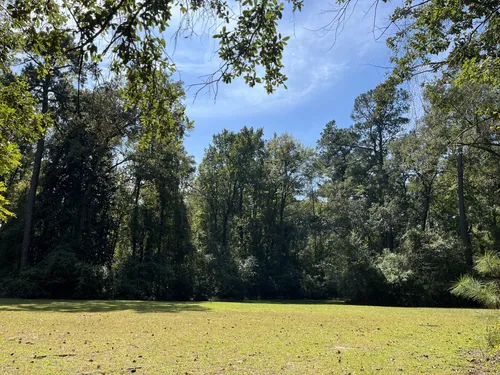 Best Hikes and Trails in Colleton State Park | AllTrails