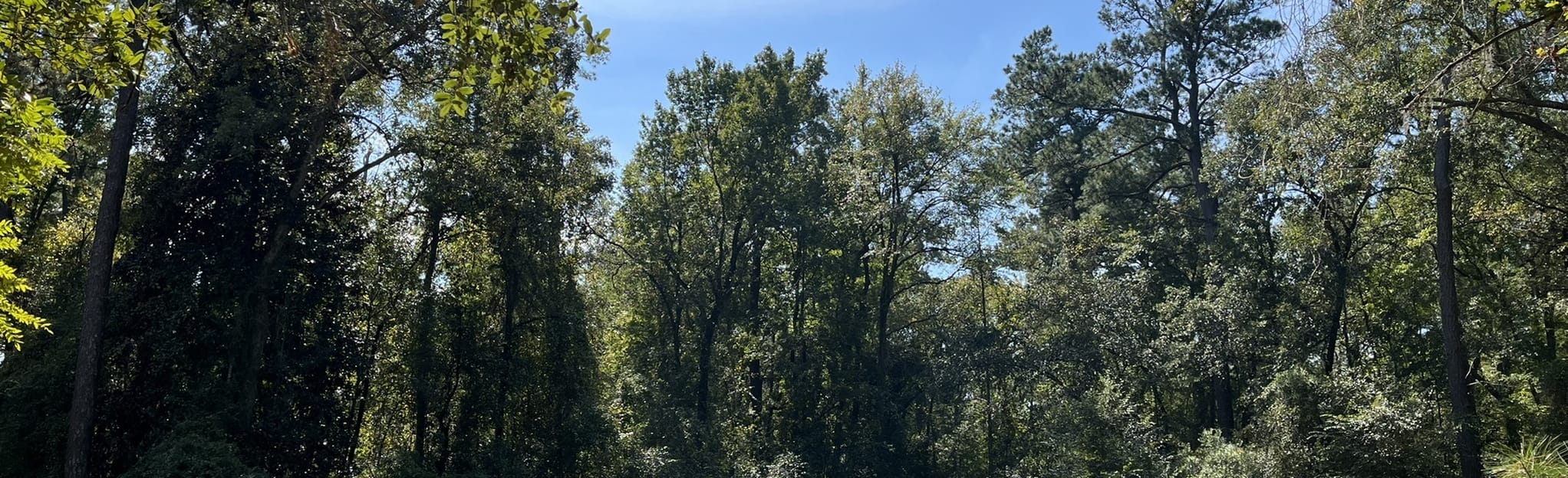 Colleton State Park Nature Trail, South Carolina - 32 Reviews, Map ...