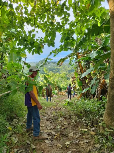 10 Best Trails and Hikes in Bulacan | AllTrails