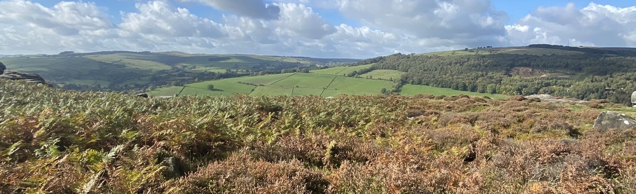 Curbar Edge and Frogatt Wood: 253 Reviews, Map - Derbyshire, England ...