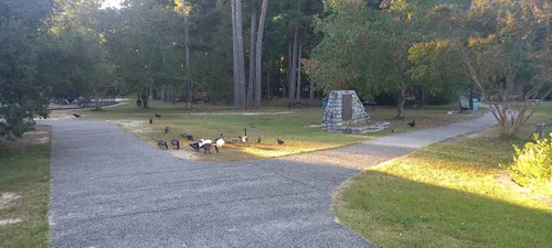 Best Hikes and Trails in Briscoe Park | AllTrails