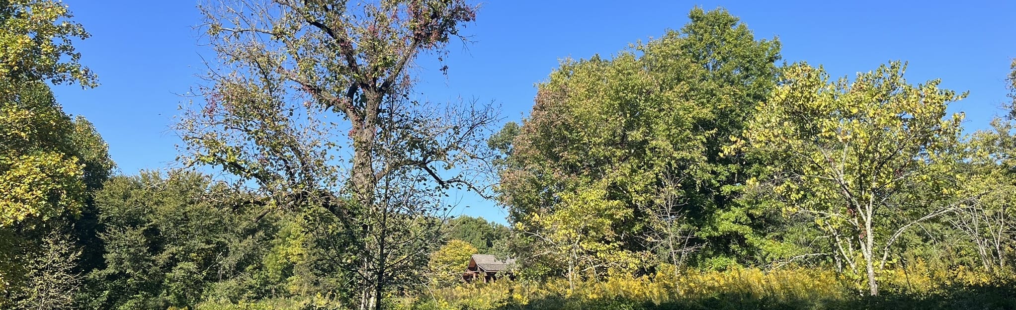 Cherokee Park Loop, Kentucky - 1,537 Reviews, Map | AllTrails