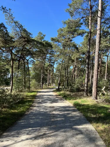 Best Long Trails in Bosland National Park | AllTrails
