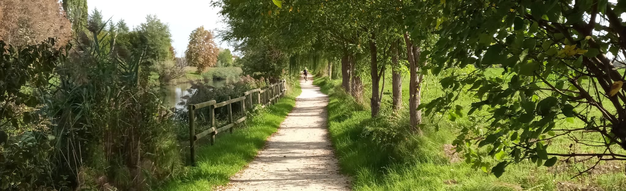 Mogliano Veneto - Casale sul Sile - Musile di Piave - Portegrandi ...