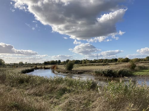 2023 Best Long Trails in Dedham Vale Area of Outstanding Natural Beauty ...