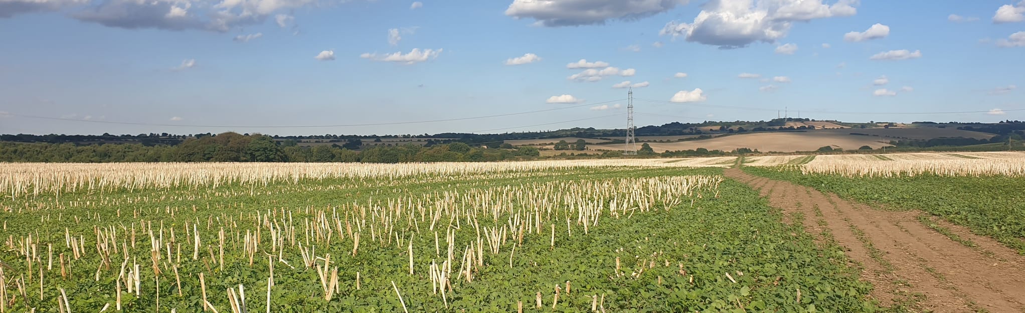 Ravenfield Ponds, South Yorkshire, England - 37 Reviews, Map | AllTrails