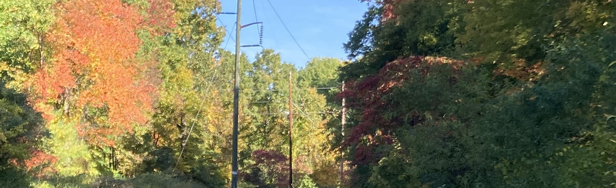 Manhan Rail Trail: Millpond to Easthampton: 451 Reviews, Map ...