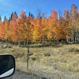 Soapstone Basin OHV Trail, Utah - 94 Reviews, Map | AllTrails