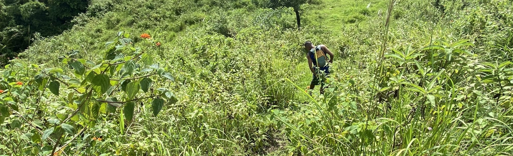 Mount Binutasan, Rizal, Philippines - Map, Guide | AllTrails