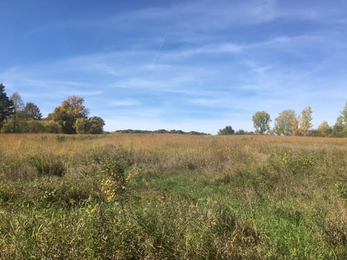 2023 Best Forest Trails in Camillus | AllTrails