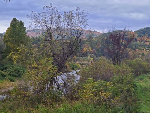 Best Hikes and Trails in Springfield Nature Area | AllTrails