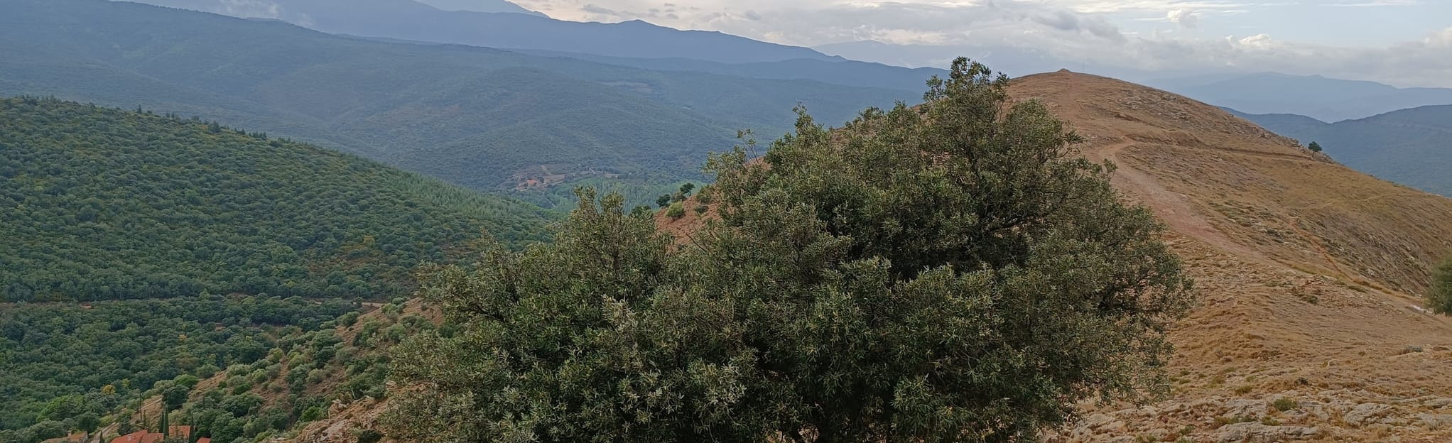 Castelnou - Camélas - San Marti de la Roca, Pyrénées-Orientales, France ...