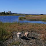 Fogland Beach, Rhode Island - 41 Reviews, Map | AllTrails