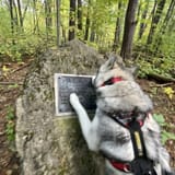 Besser Natural Area Loop, Michigan - 94 Reviews, Map | AllTrails