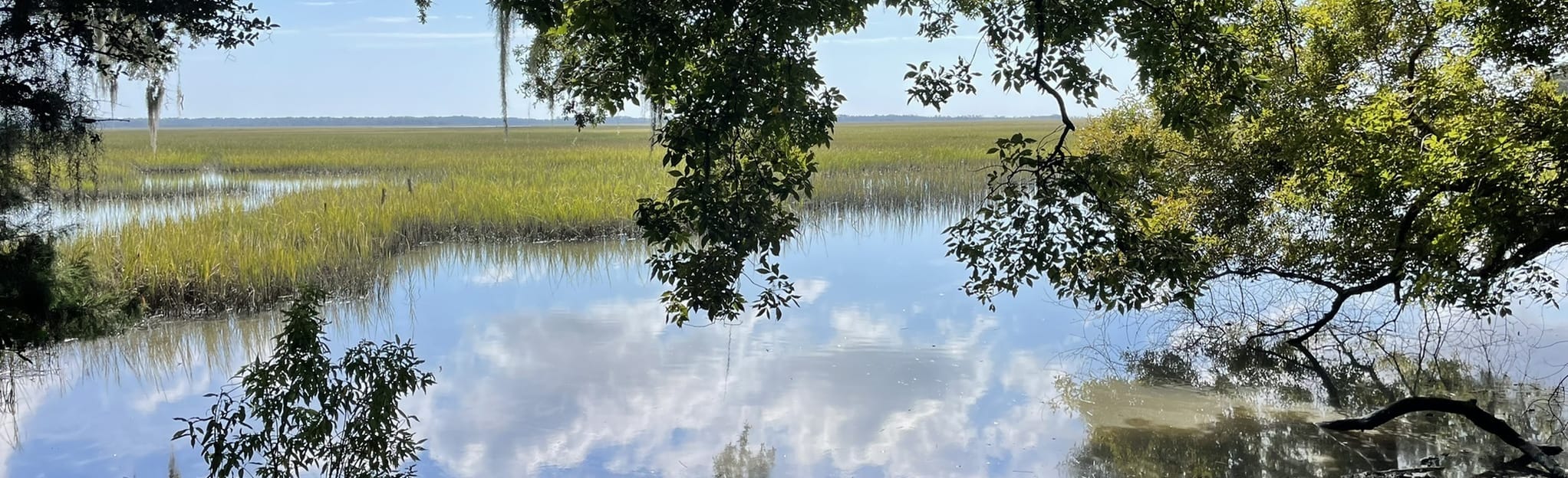 Cannon’s Point Preserve: 102 Reviews, Map - Georgia | AllTrails