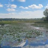 Waterloo-Pinckney Trail, Michigan - 434 Reviews, Map | AllTrails