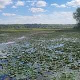 Waterloo-Pinckney Trail, Michigan - 434 Reviews, Map | AllTrails