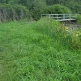 Waterloo-Pinckney Trail, Michigan - 434 Reviews, Map | AllTrails