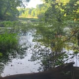 Waterloo-Pinckney Trail, Michigan - 434 Reviews, Map | AllTrails